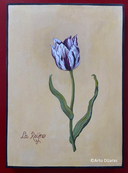 Klaar – Ninetynine Tulips