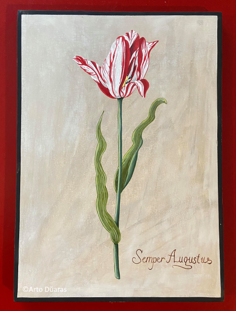 Klaar – Ninetynine Tulips