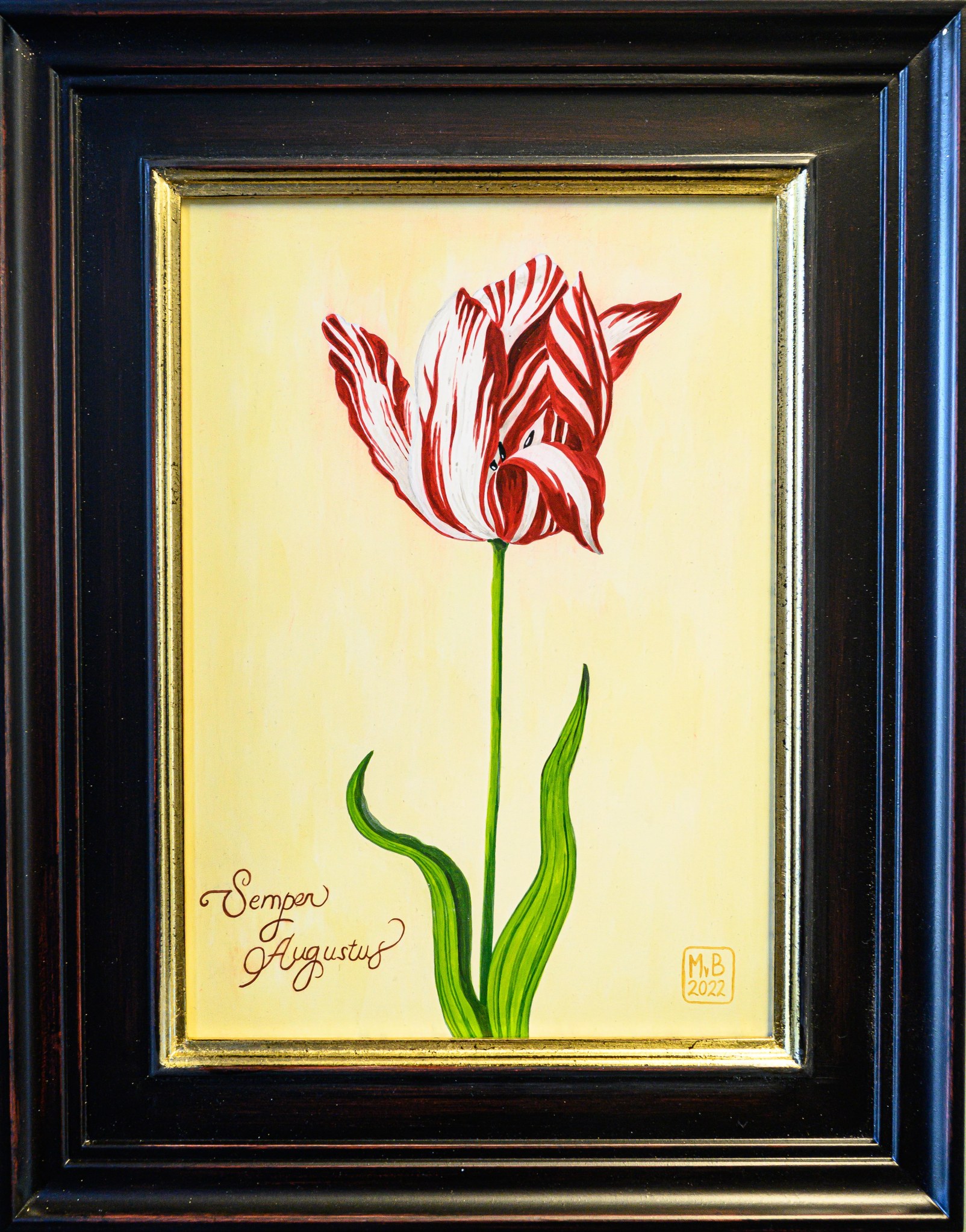 Semper Augustus – Ninetynine Tulips