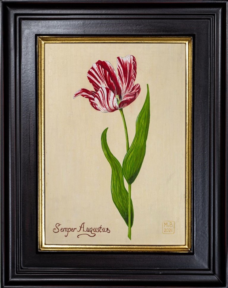 No 40. Semper Augustus II – Ninetynine Tulips